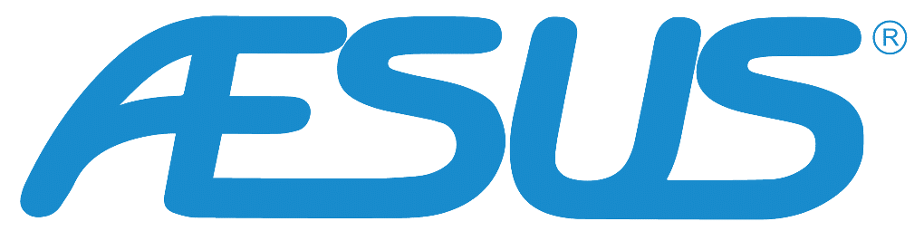 About Us | Discover Our History and Values at Aesus